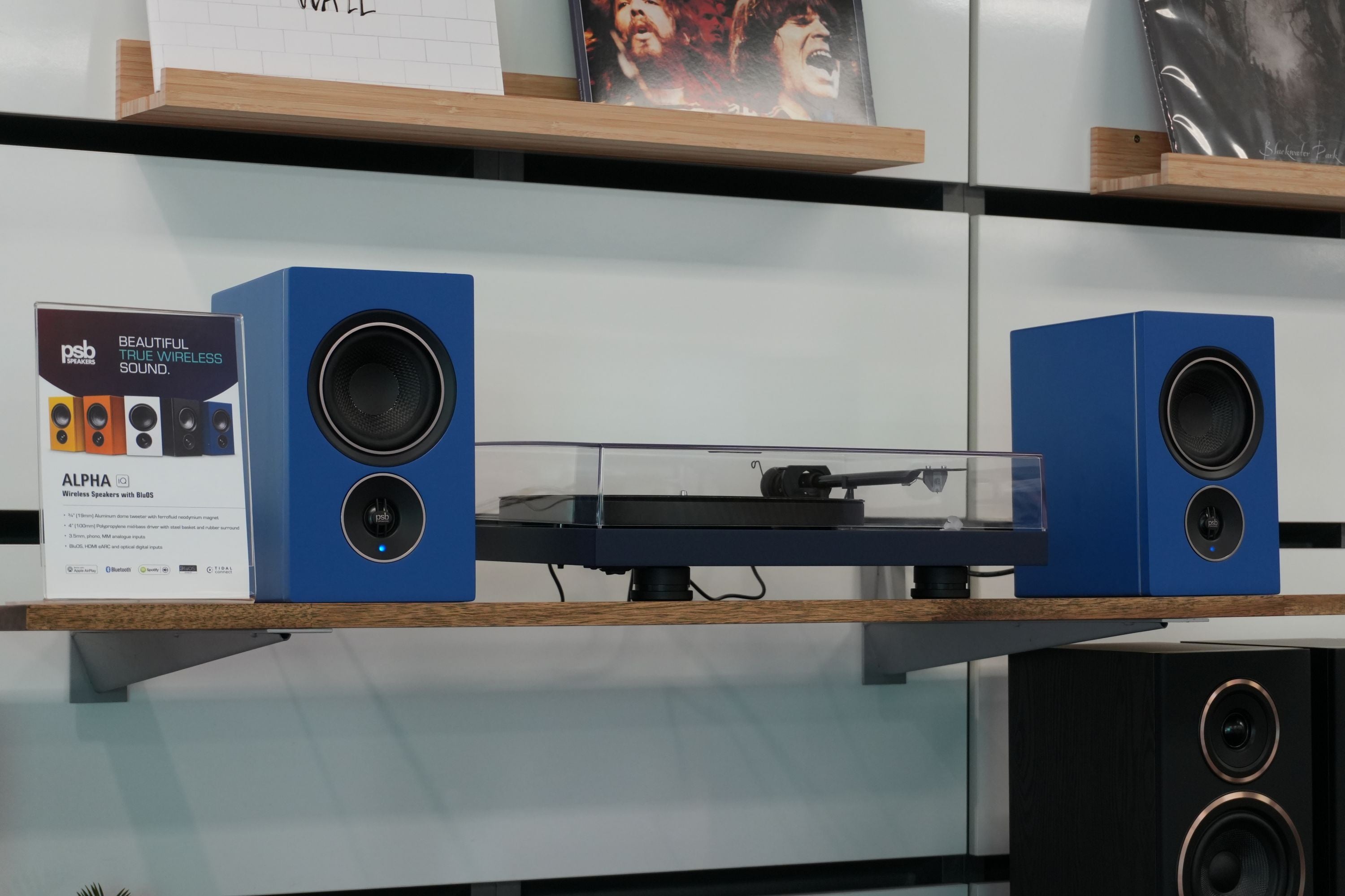 Perfect Vinyl Pack - The Alpha Zeta – Todds Hi Fi