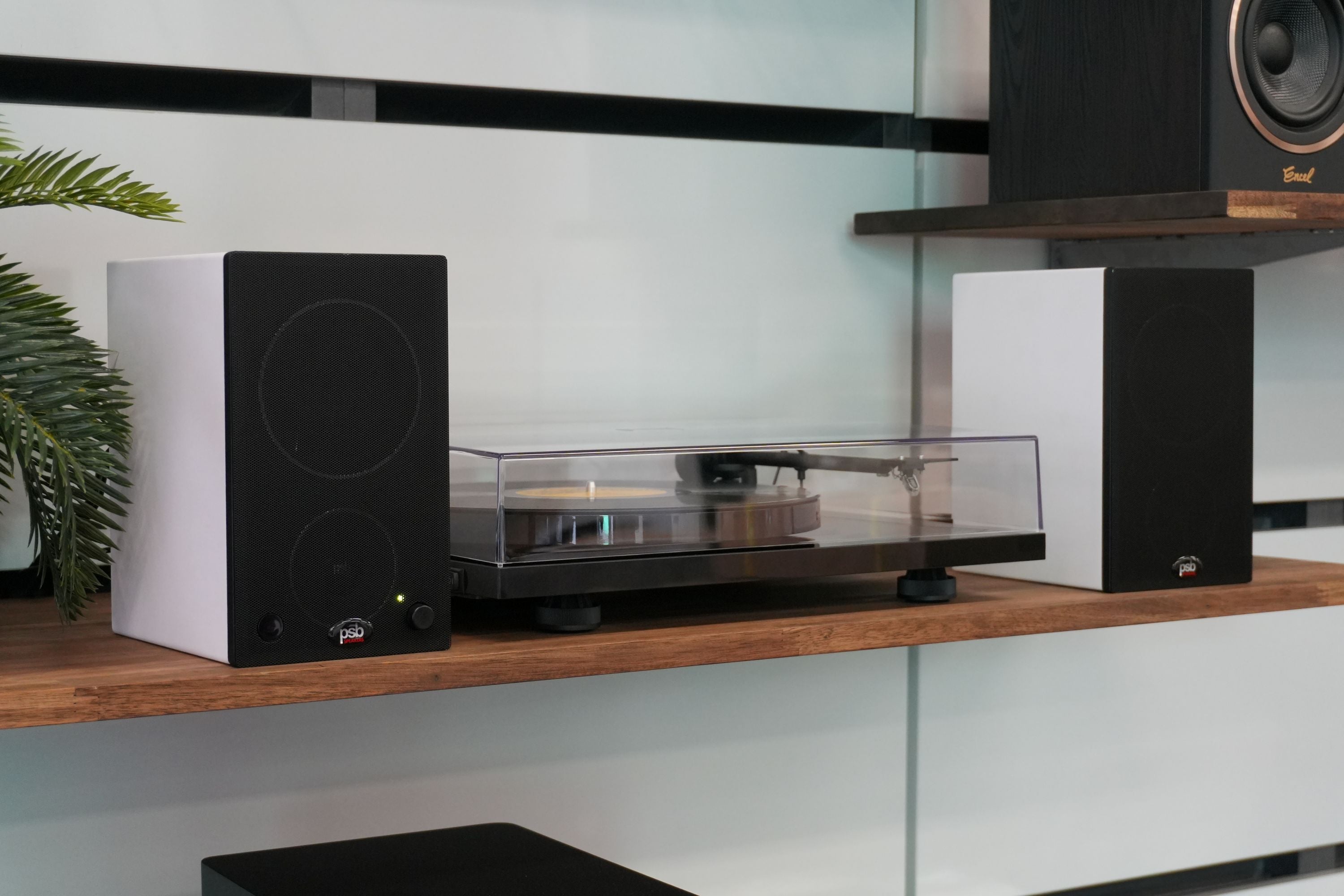 Perfect Vinyl Pack - The Entrypoint – Todds Hi Fi